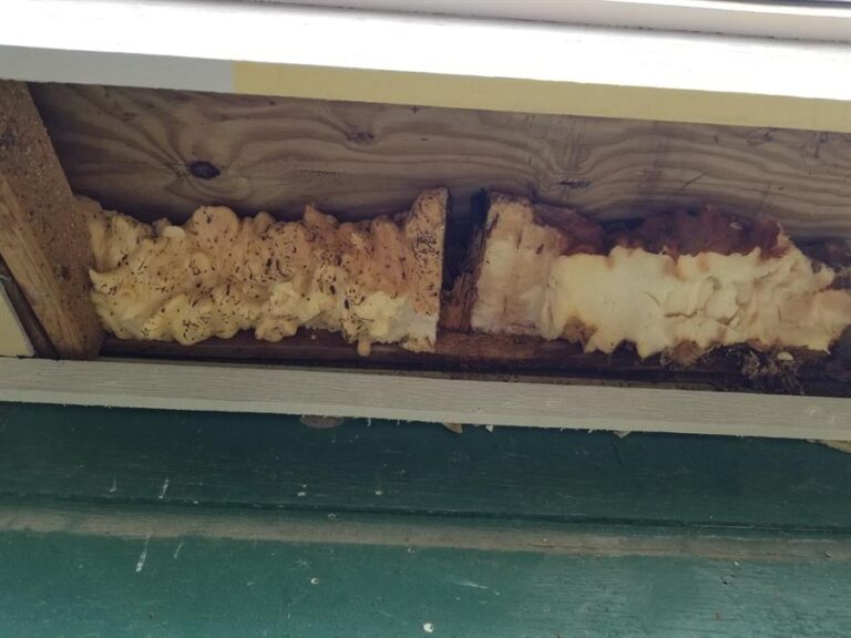 Gallery – Byrdson Services